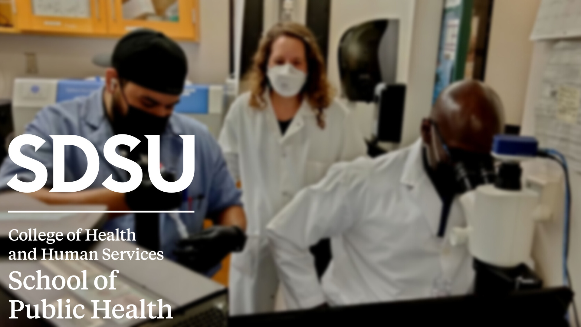 Six SDSU Faculty Members Receive New Presidential Research Fellowship – ASPPH